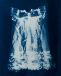 Cyanotypes – Julie Millowick