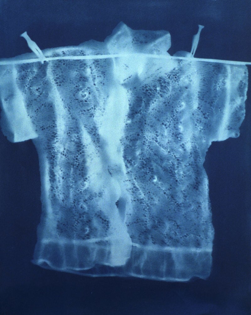 Cyanotypes – Julie Millowick
